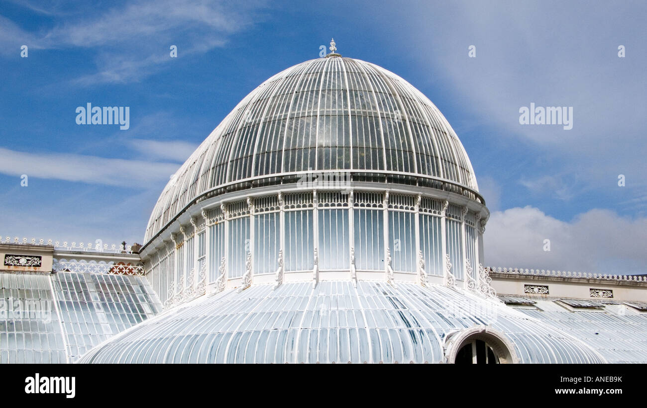 Palm House, Belfast Botanic Gardens, N. Ireland Stock Photo - Alamy