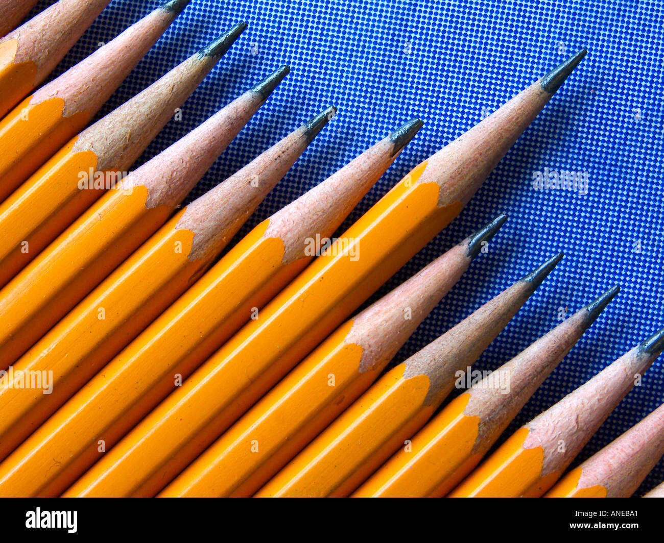 sharp yellow school pencils Stock Photo - Alamy