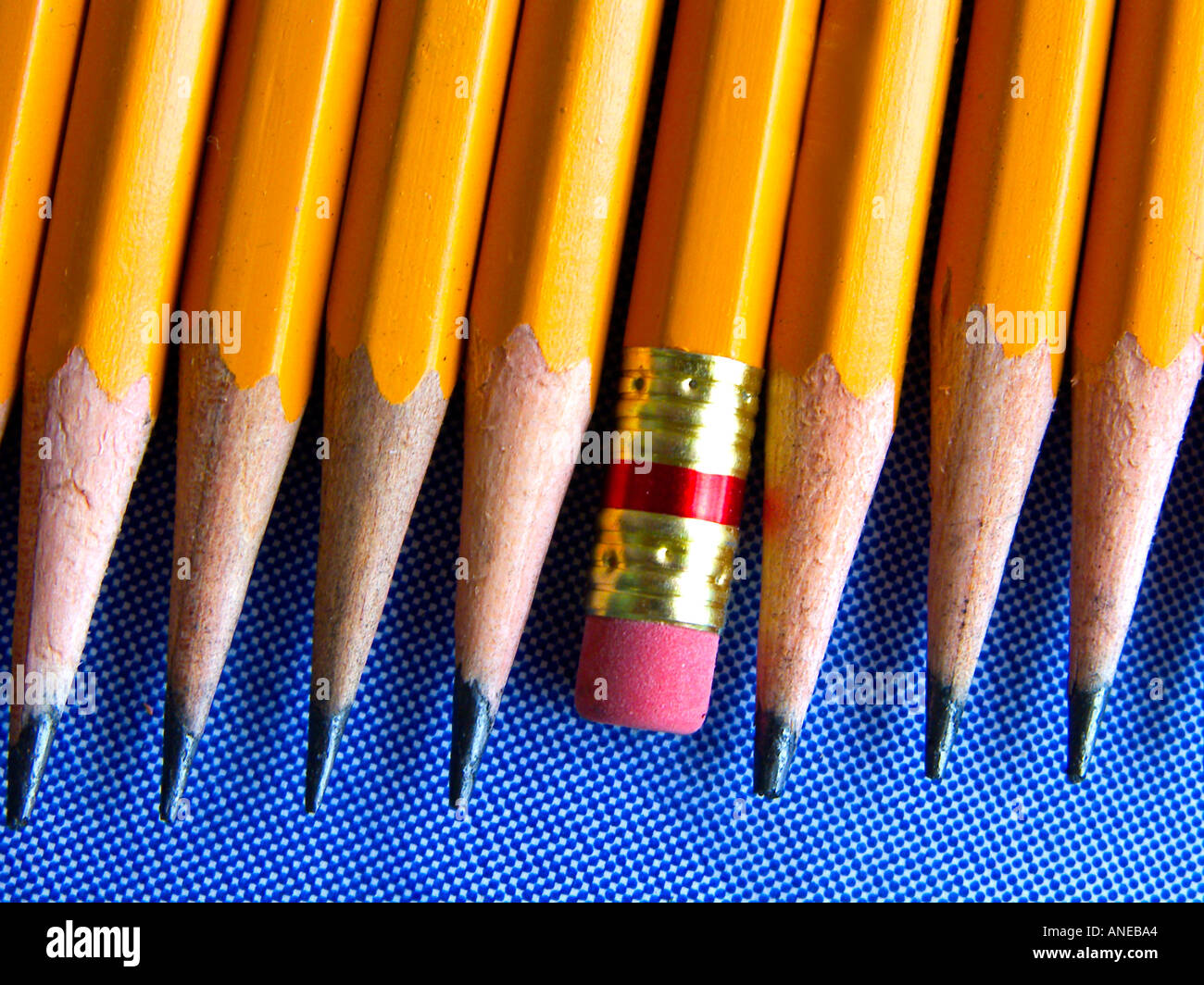 sharp yellow school pencils with one eraser Stock Photo - Alamy