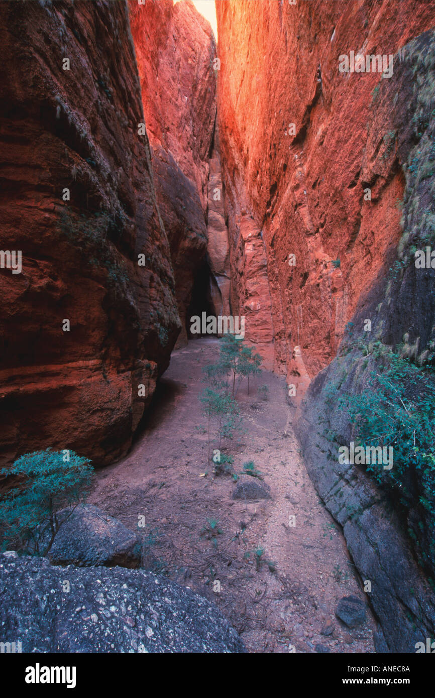 Mini palm gorge hi-res stock photography and images - Alamy