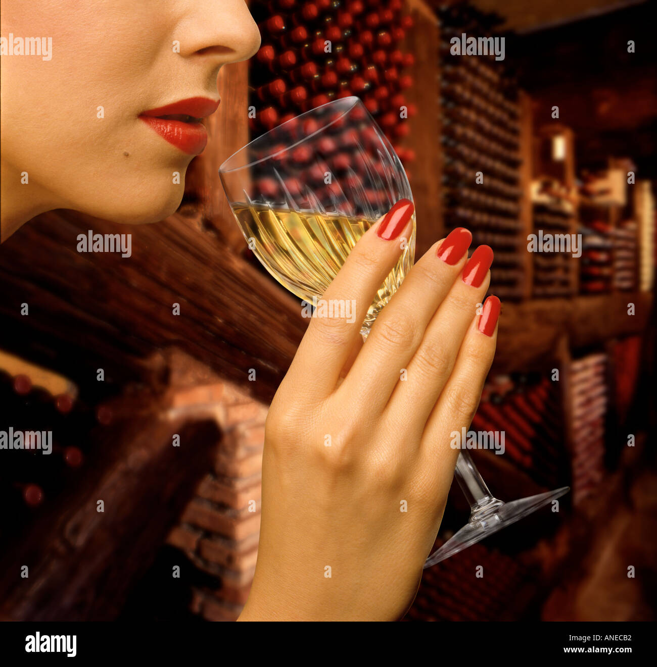 Wine aficionado hi-res stock photography and images - Alamy