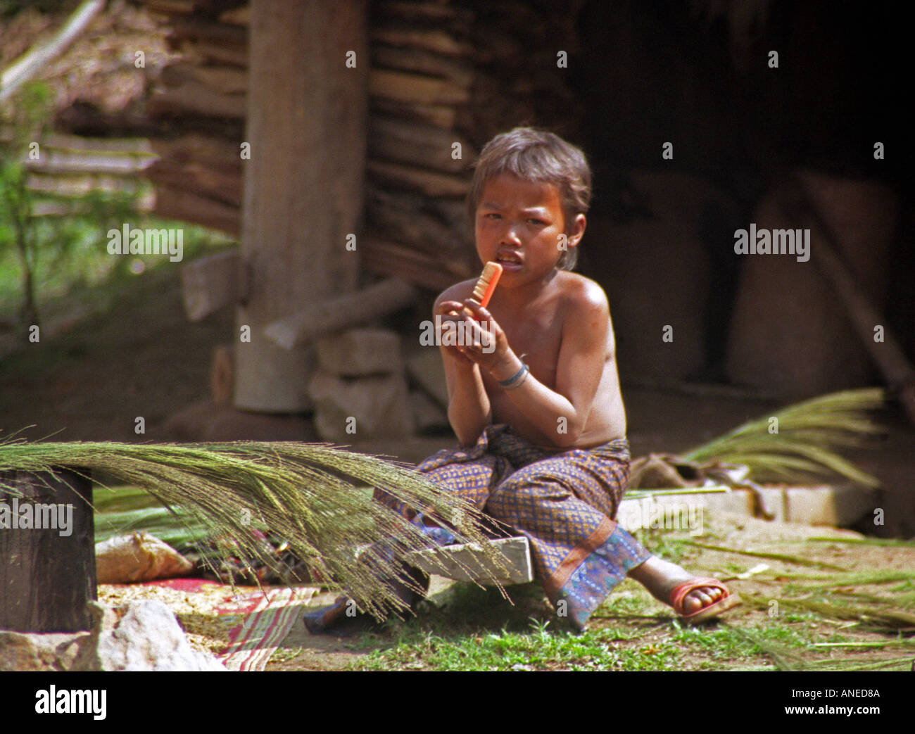 Indigenous child boy sit outdoor by wooden shack play comb green straw ...