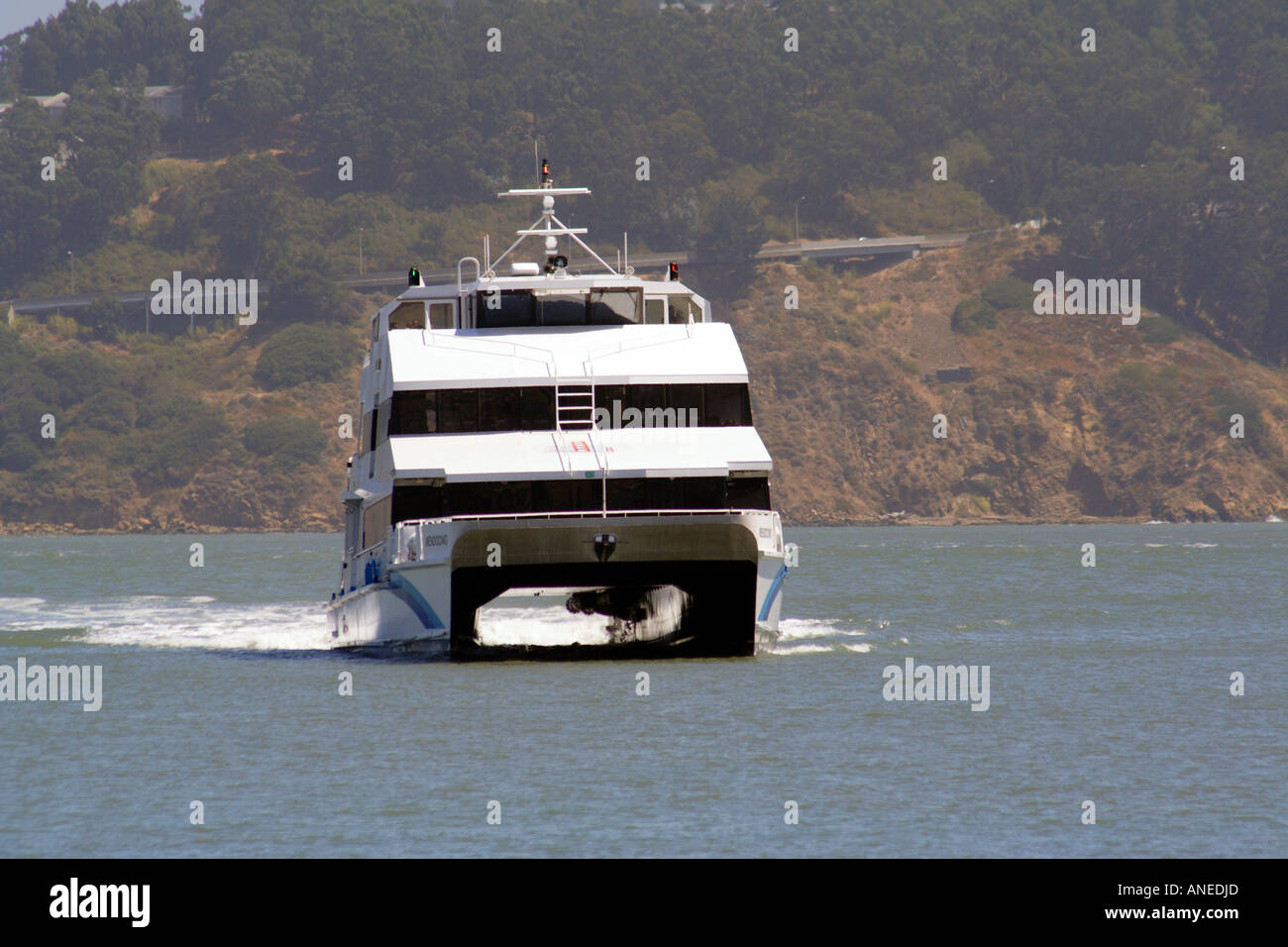 Catamaran Approaching, San Francisco Bay, SF, California Stock Photo ...
