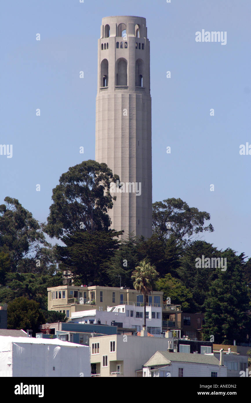 Coit Tower Vector