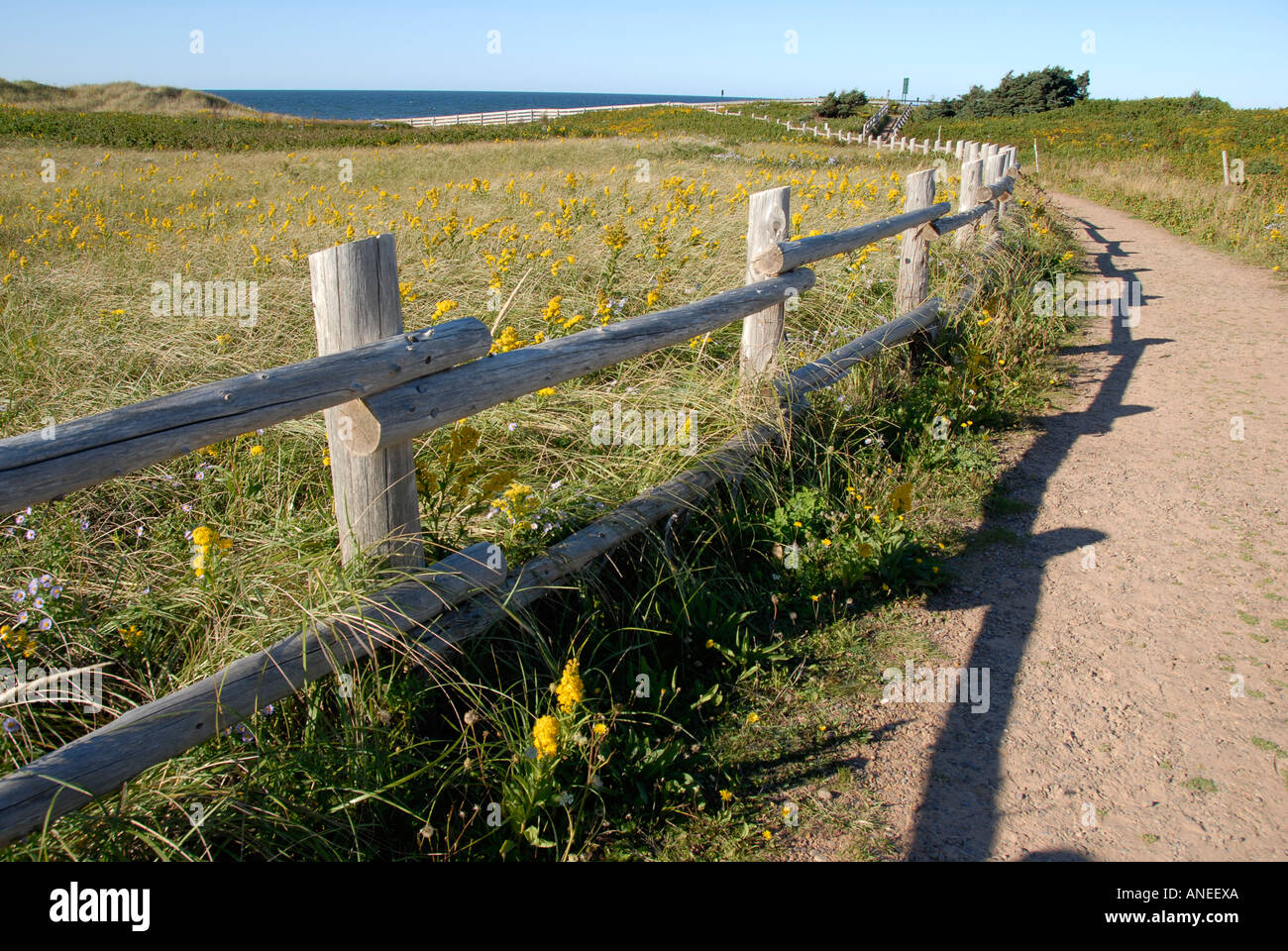 Wooden Fence and Path (horizontal), Dunelands, Cavendish - Prince ...