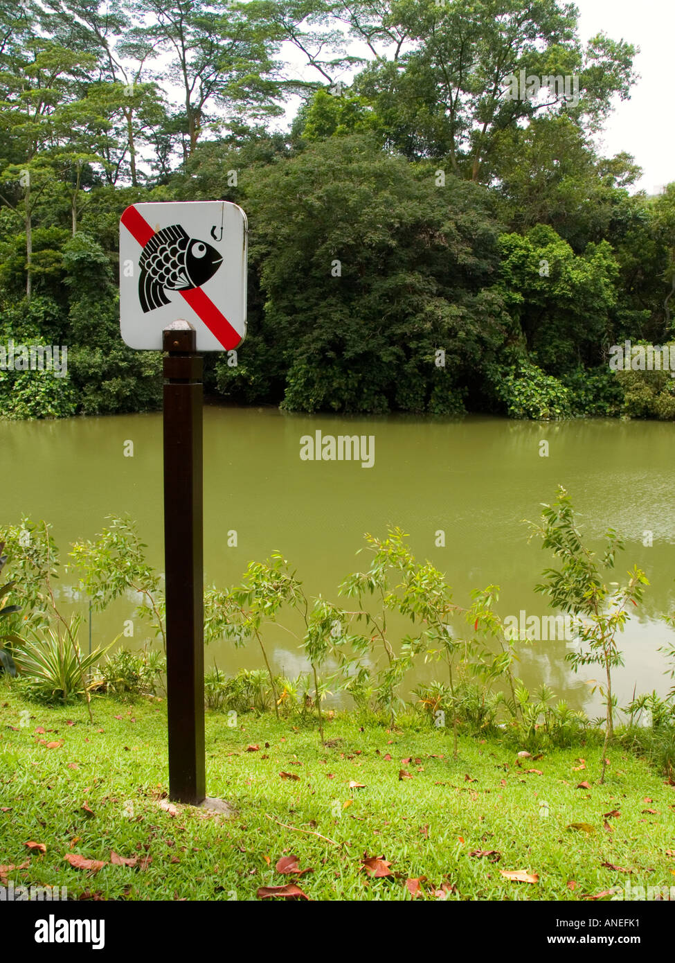 No Fishing Sign Singapore