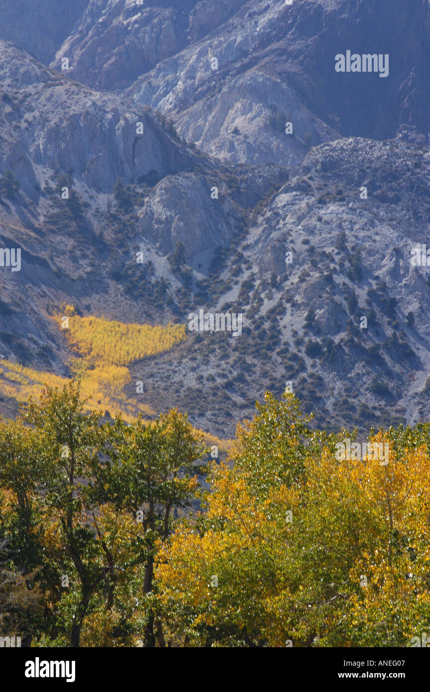 Sierra Navade Fall Colour Stock Photo - Alamy