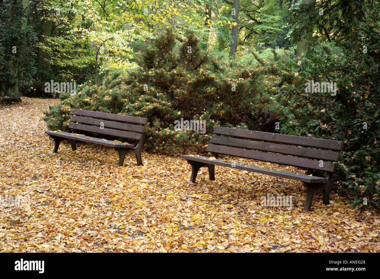 Two park benches at fall Stock Photo - Alamy