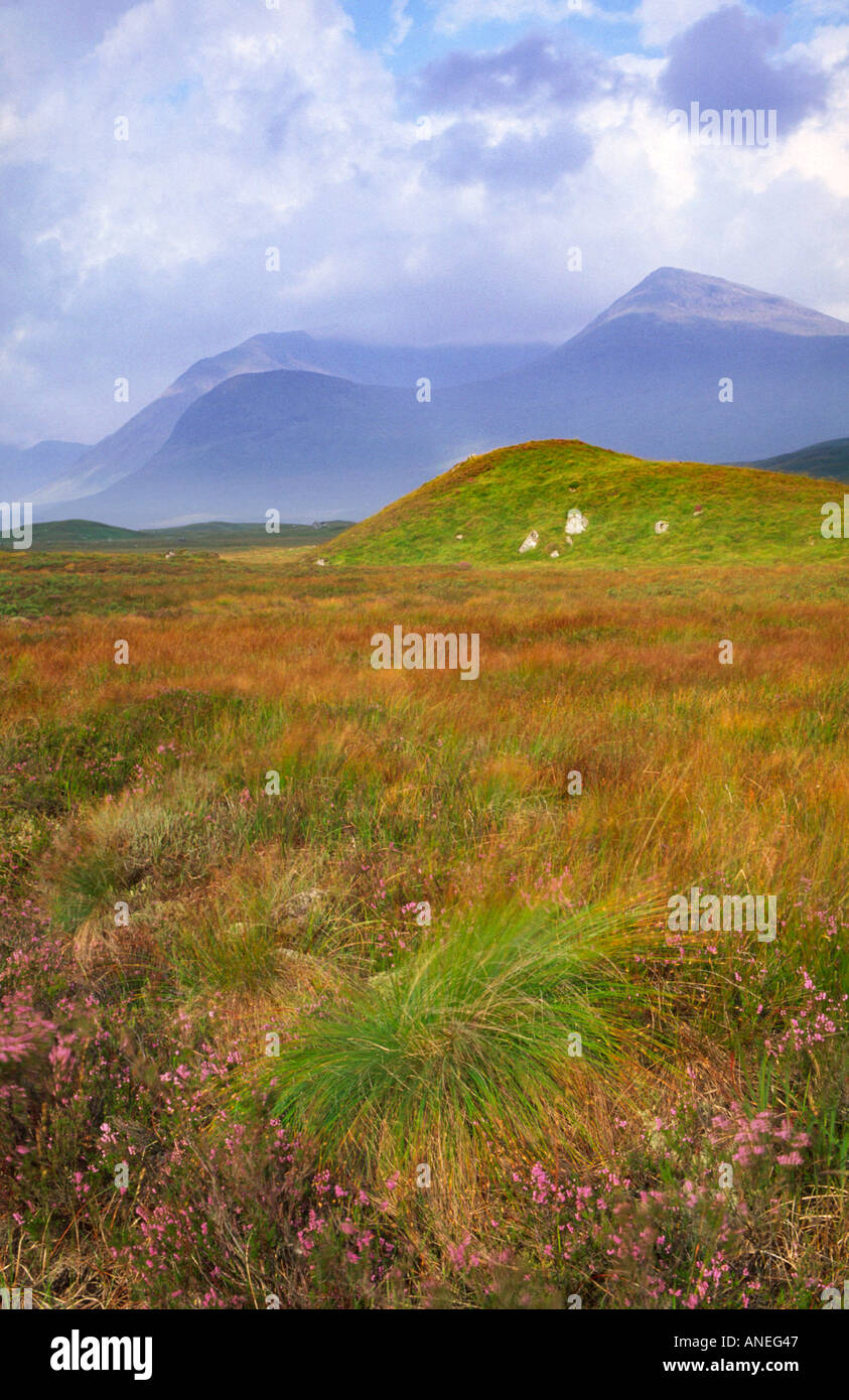 Black mount summer scotland hi-res stock photography and images - Alamy