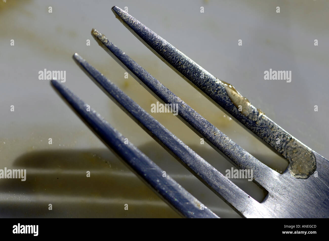 fork shadow eating cutlery plate detail meal food finished horizontal ...
