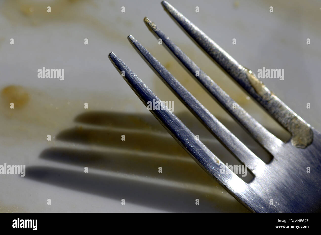fork shadow eating cutlery plate detail meal food finished horizontal ...