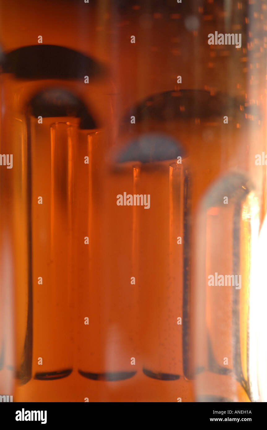 german beer glass dunkel dark bitter alcohol deustch deutsche ...