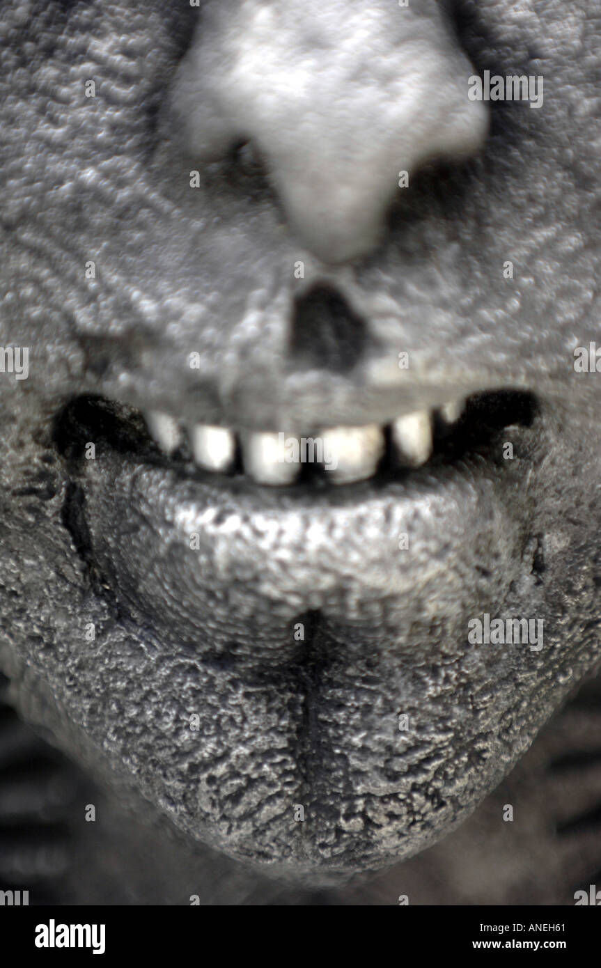 teeth talk talking speak speaking speech mouth oral nose Stock Photo ...