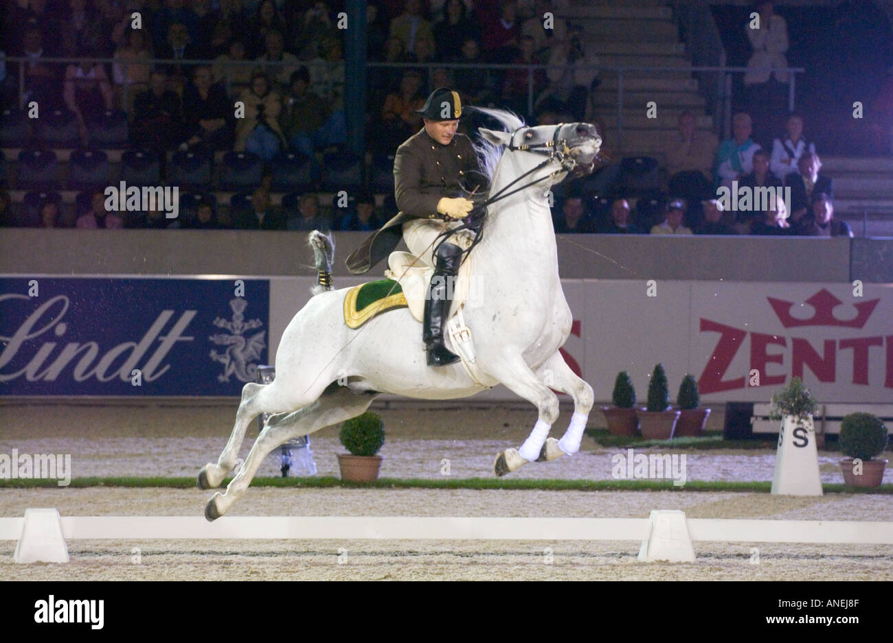Spanish Riding School Vienna , demonstration Stock Photo - Alamy