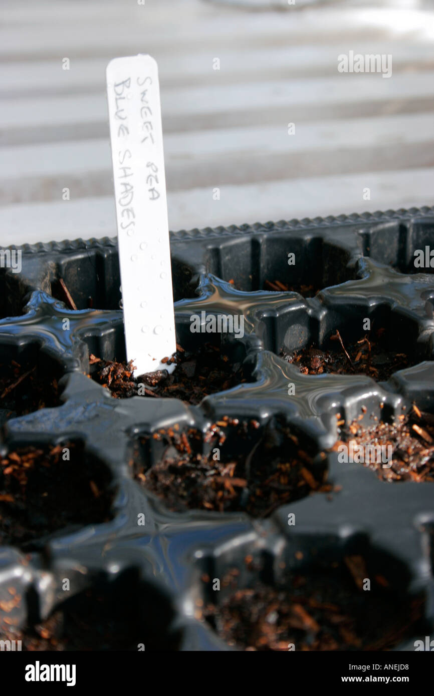 Seed plant label hi-res stock photography and images - Alamy