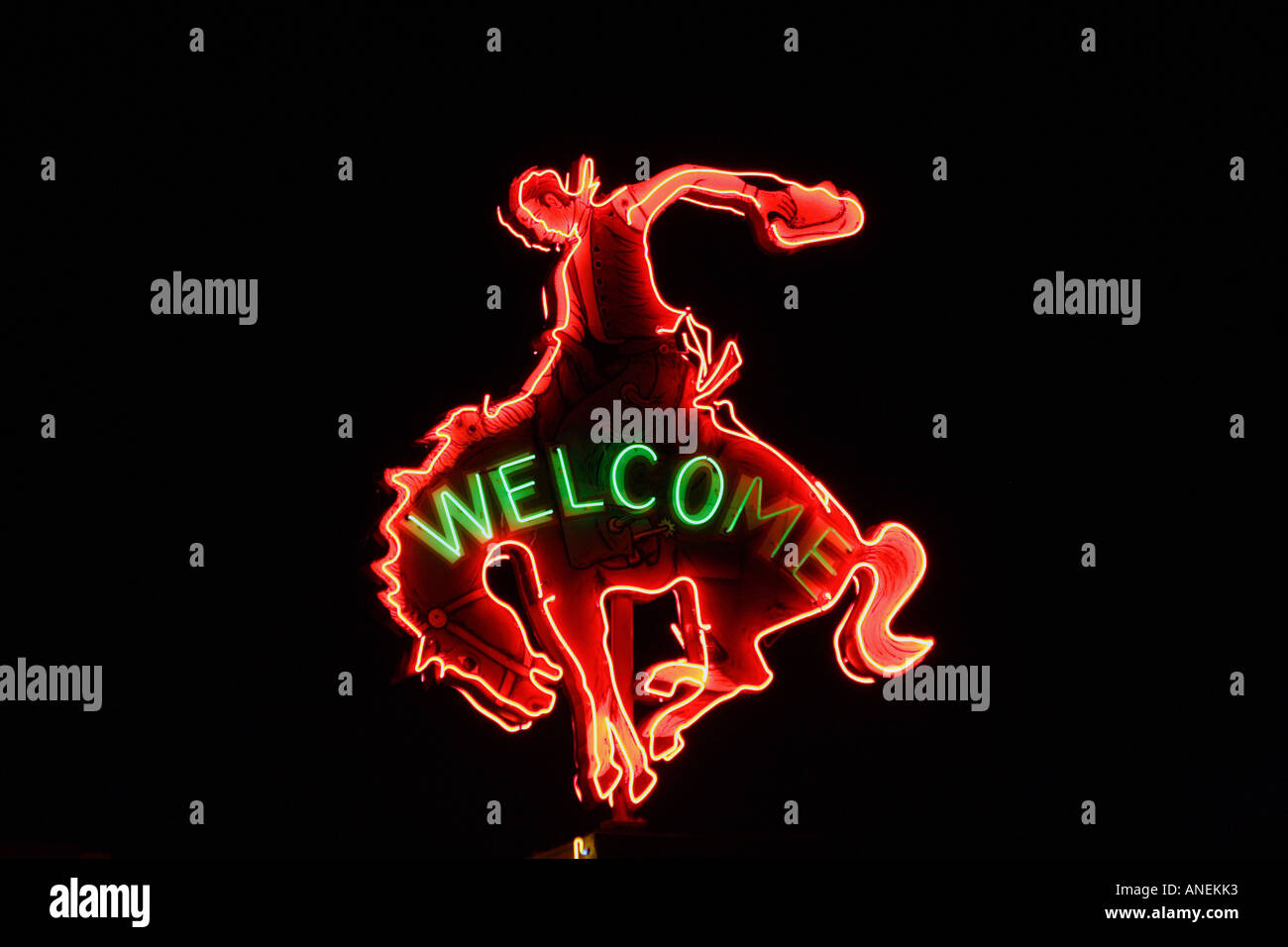 Neon bucking bronco welcome sign hi-res stock photography and images ...