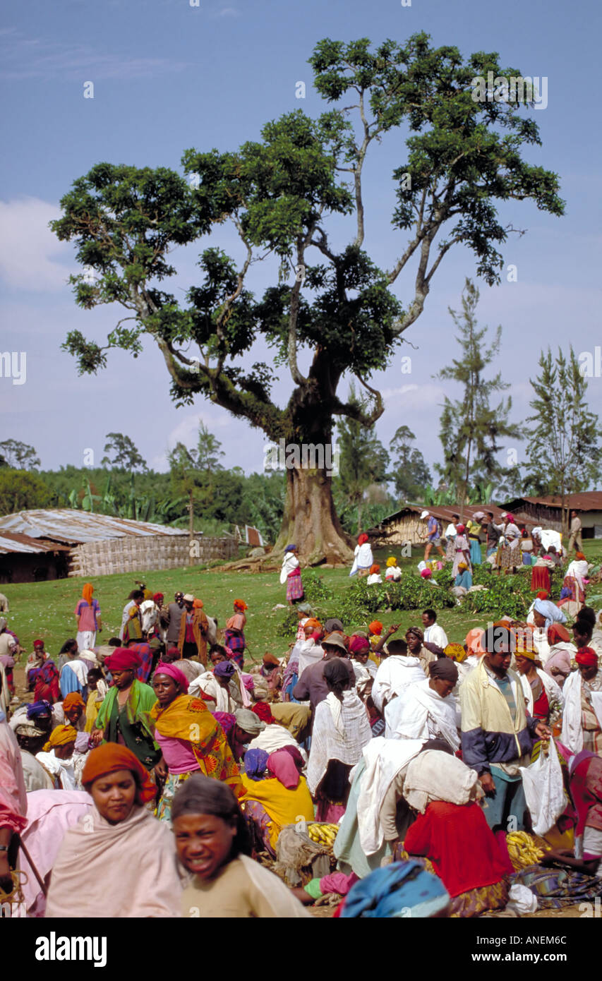 Chencha hi-res stock photography and images - Alamy