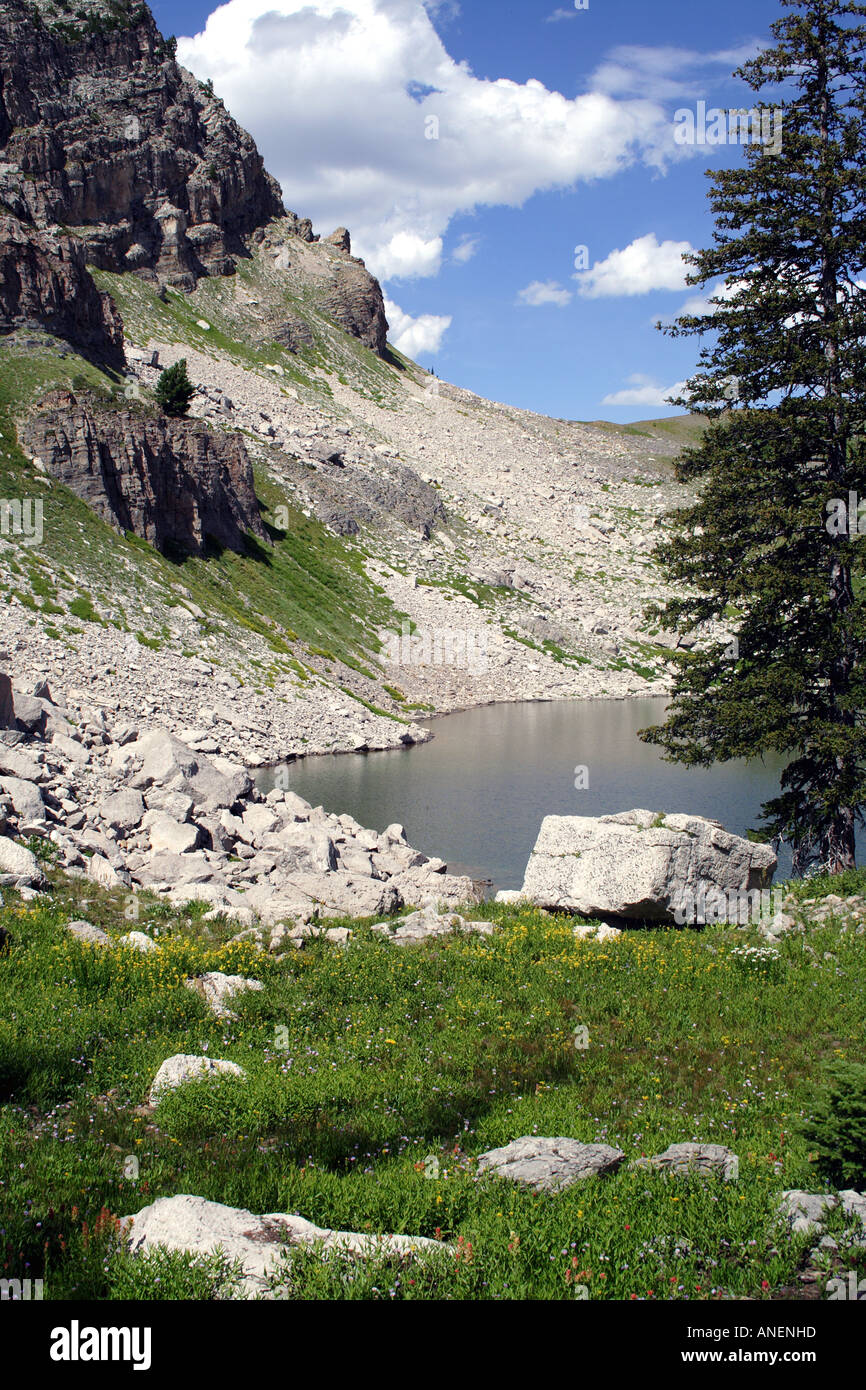 Marion lake grand teton national park hi-res stock photography and ...