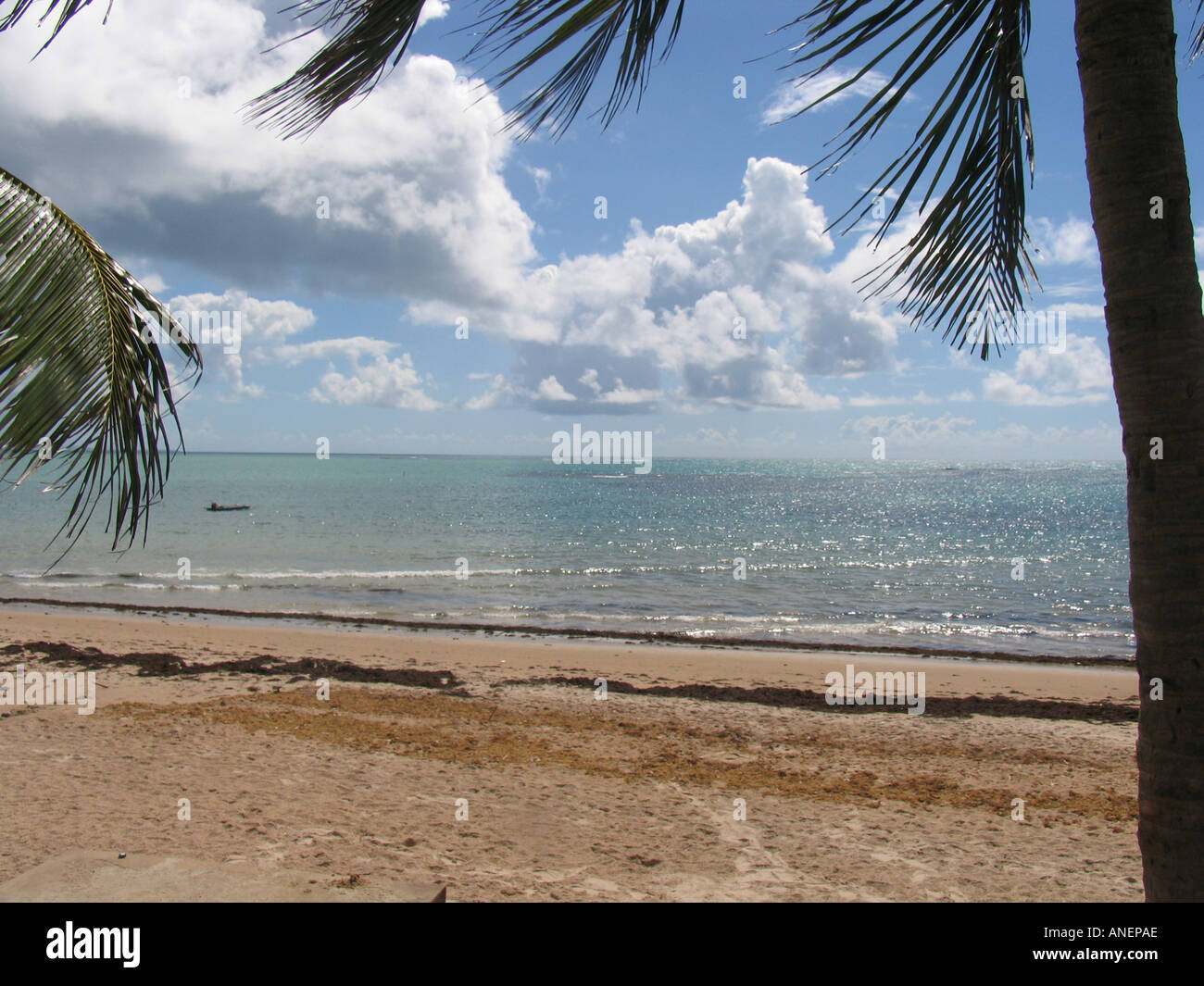 Maceio beach brazil hi-res stock photography and images - Alamy