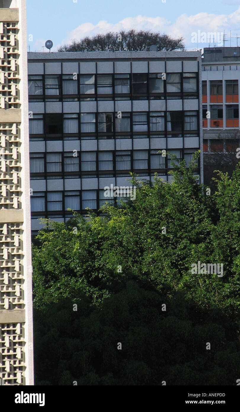 Building With Limbs Like Hairs Over it in the Foresty City of Brasilia ...