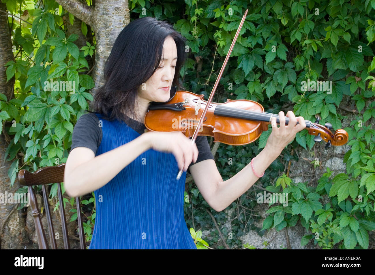 Japanese women playing violin outside Stock Photo - Alamy