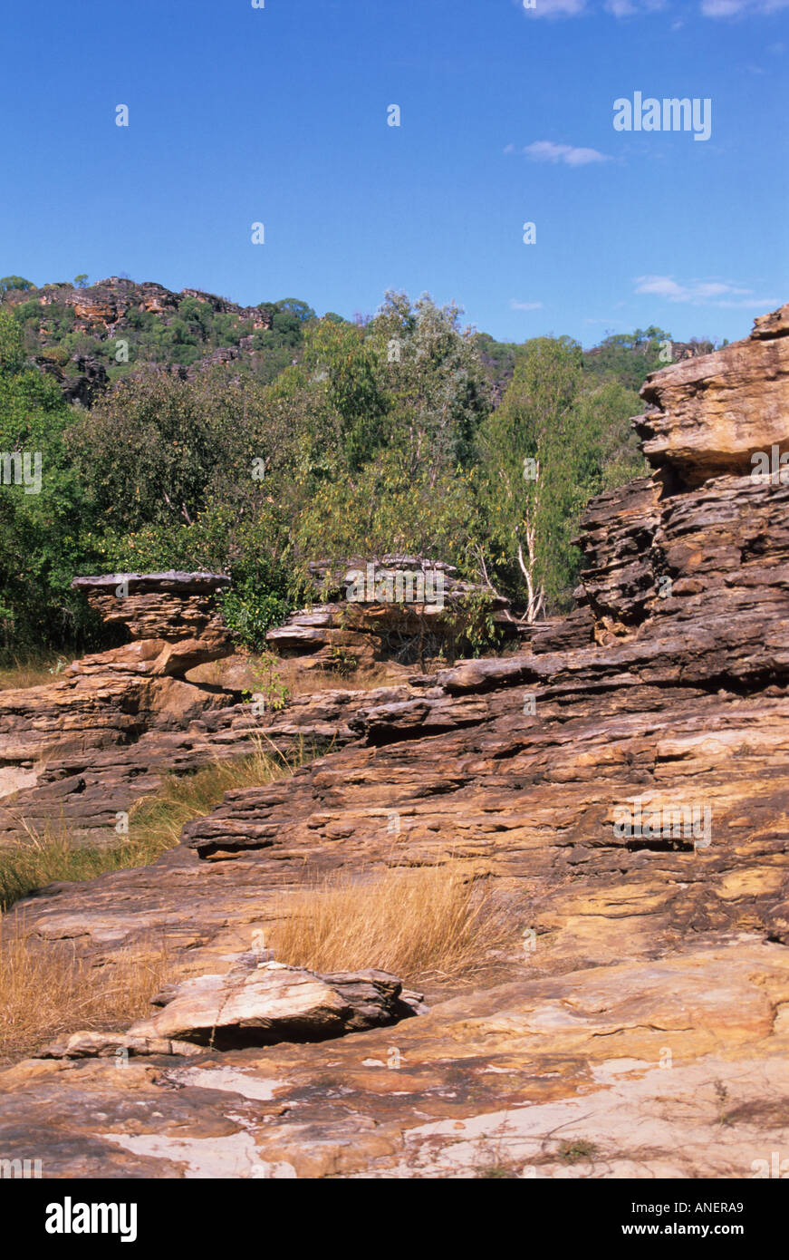 Escarpment View, Arnham Land (sacred aboriginal land), by Alligator ...