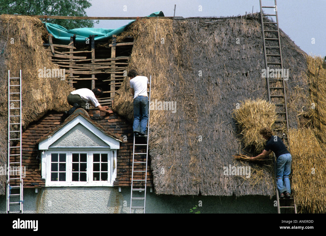 THATCHING HOUSE ESSEX UK Stock Photo - Alamy