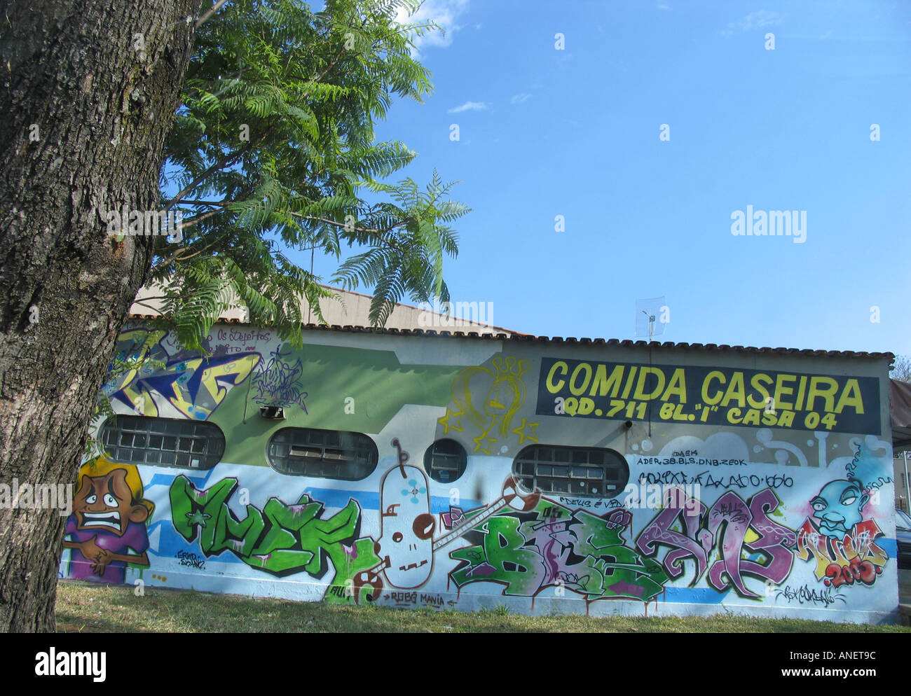 Brazilian Graffiti and Thick Tree Brasilia BR Stock Photo - Alamy