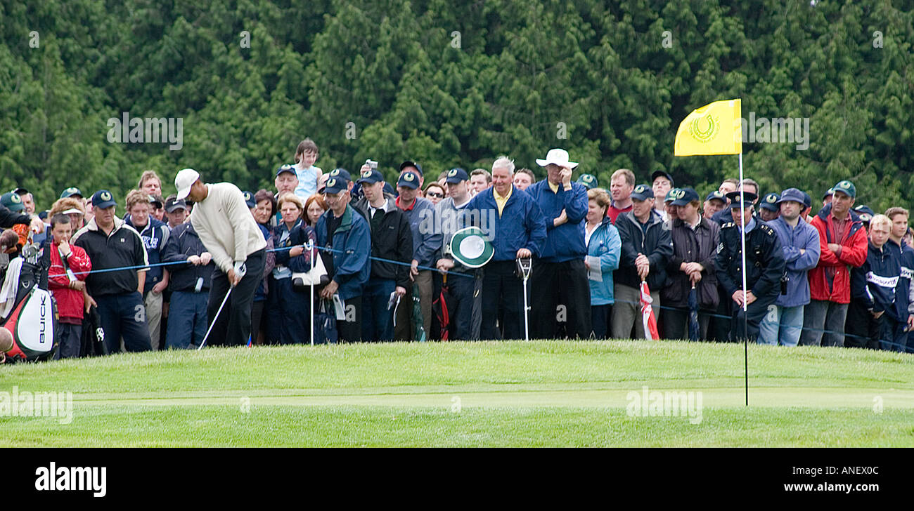 Golf crowd hi-res stock photography and images - Alamy