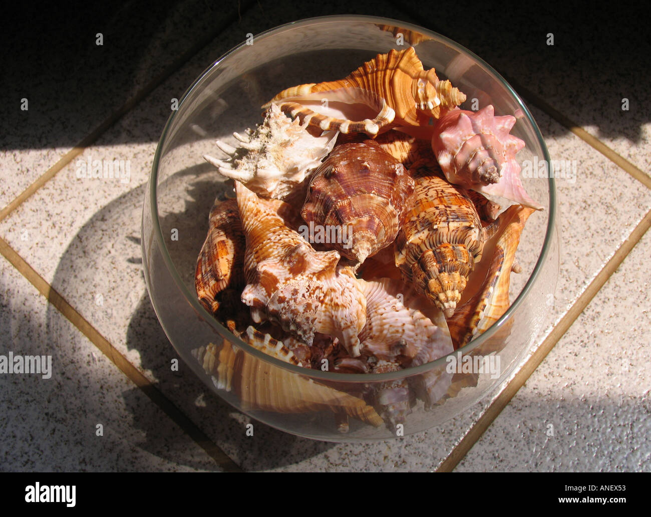 Brazilian postcard hi-res stock photography and images - Alamy