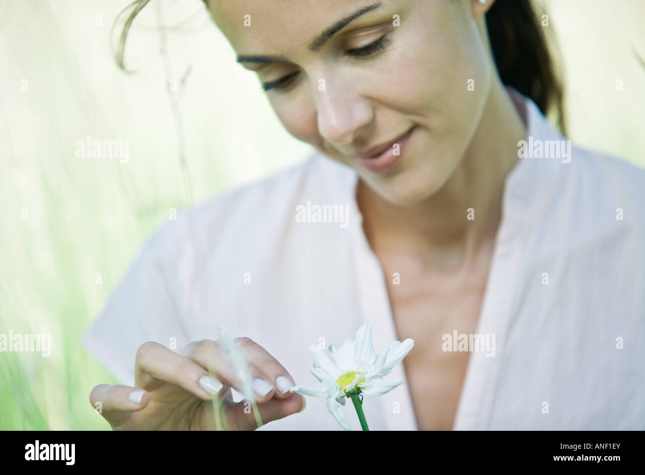 Woman plucking petal from daisy, close-up Stock Photo - Alamy