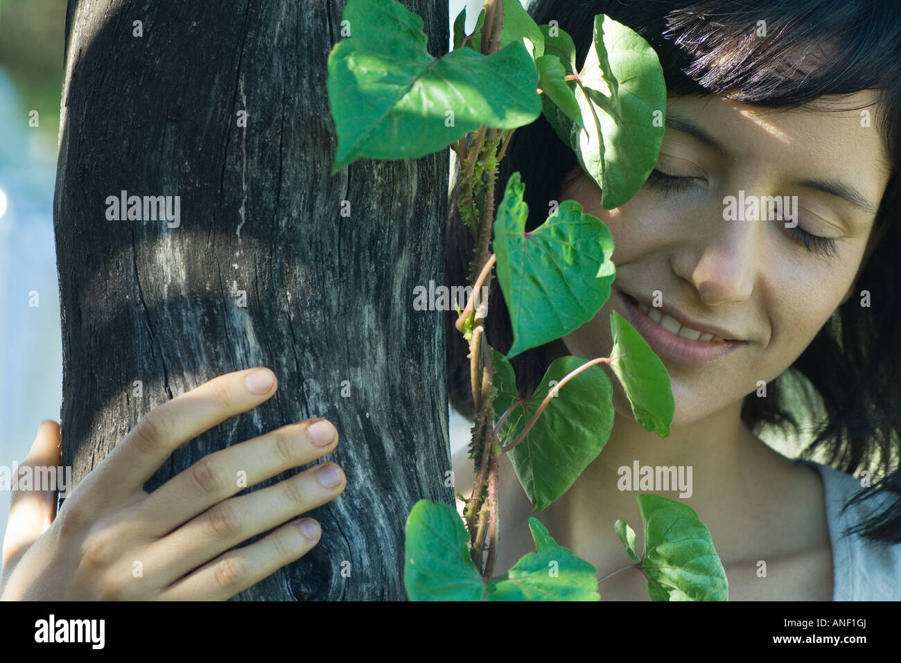 Holding onto tree hi-res stock photography and images - Alamy