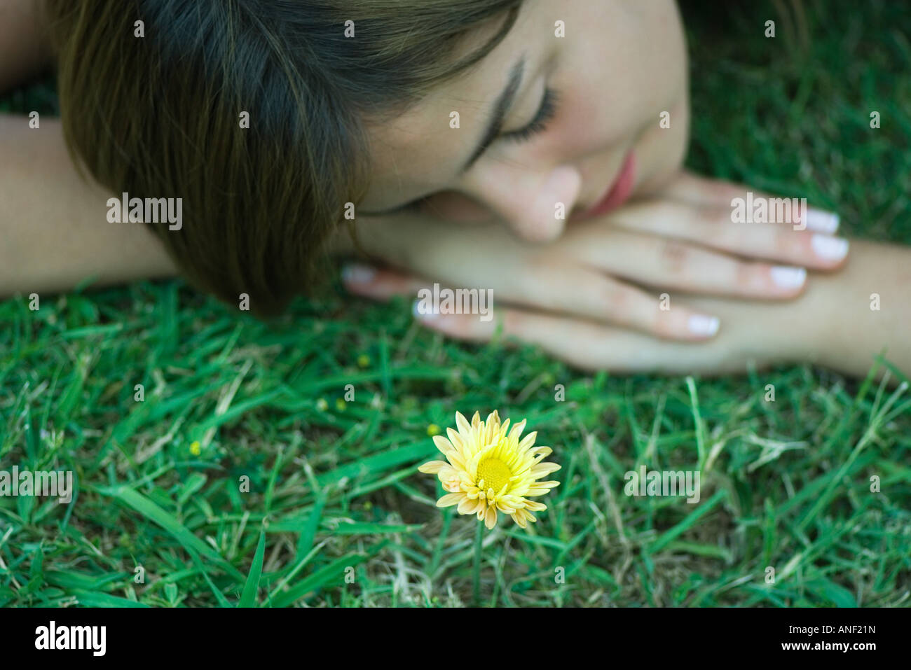 Single flower grass hi-res stock photography and images - Alamy