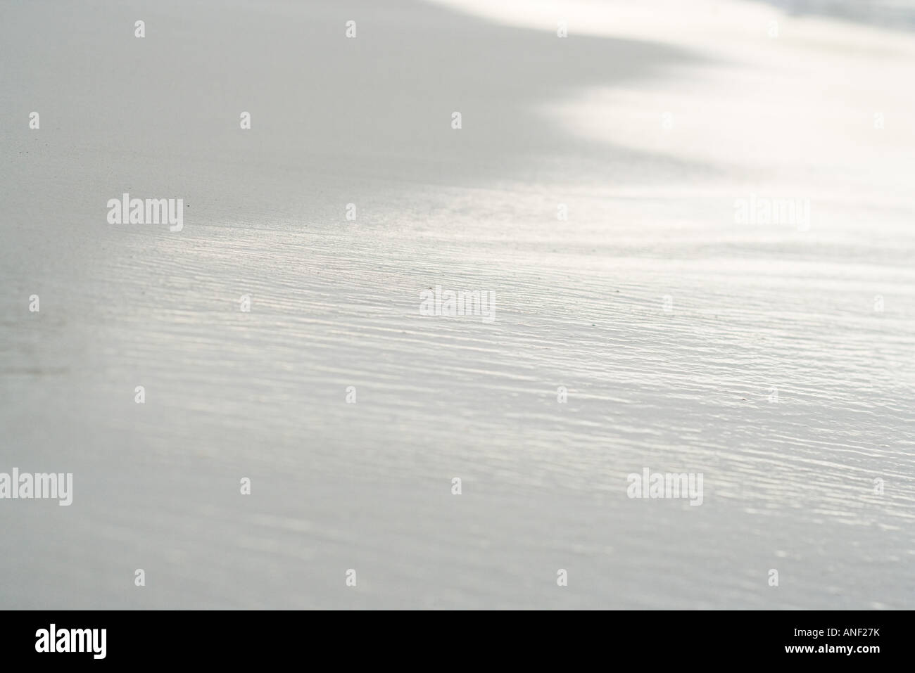 Wet sand, close-up, full frame Stock Photo - Alamy