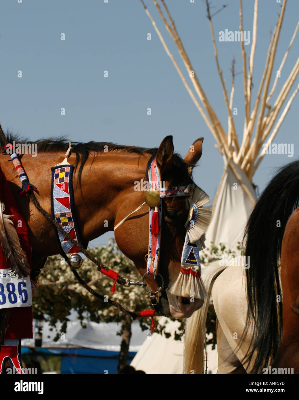Crow fair indian native american hi-res stock photography and images ...