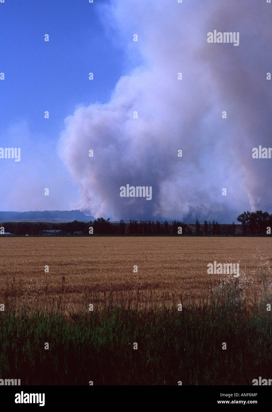 Grain fire hi-res stock photography and images - Alamy
