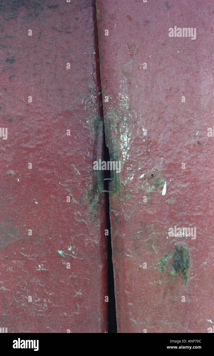 Ship plate hi-res stock photography and images - Alamy