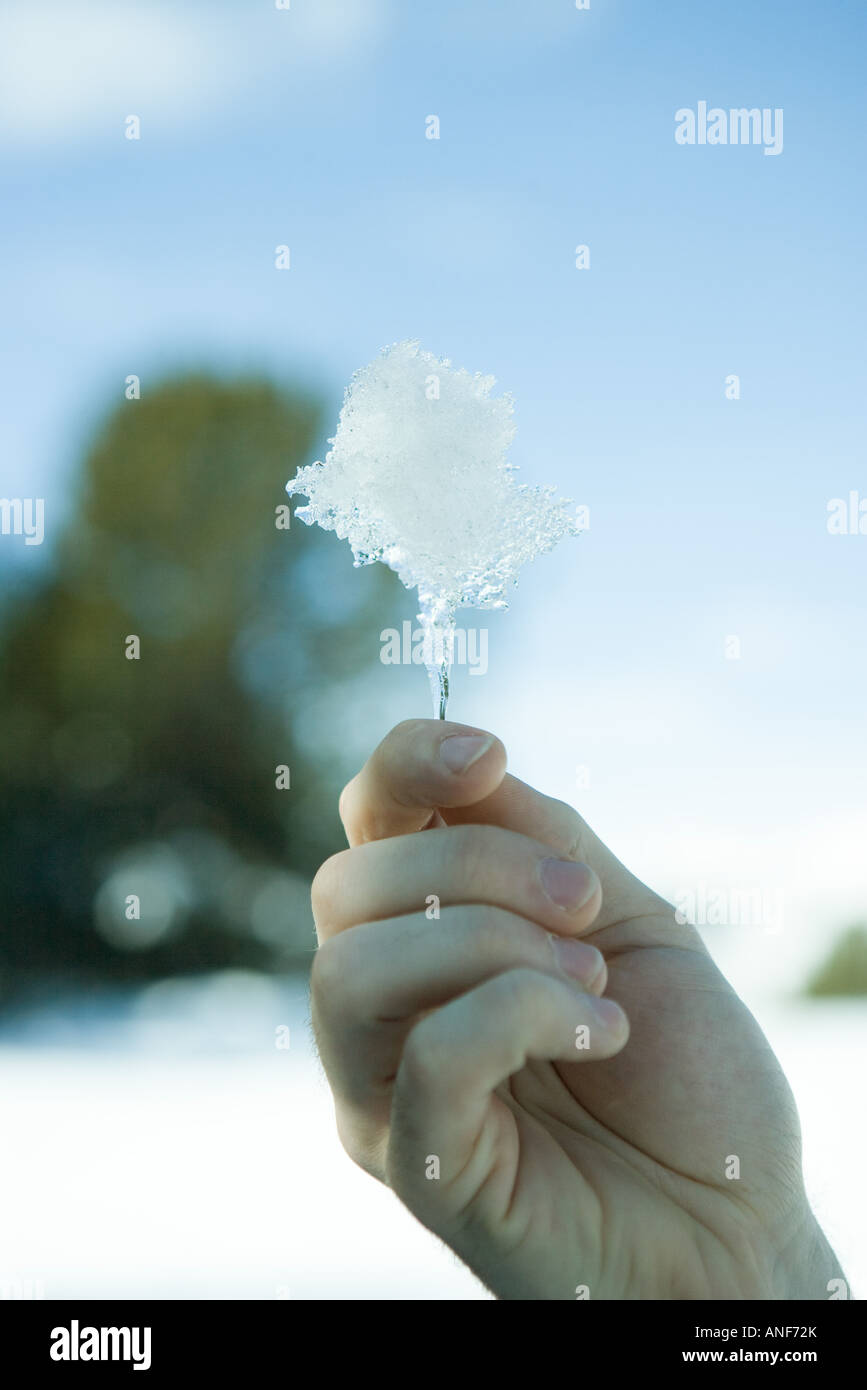 Hand holding up piece of ice Stock Photo - Alamy