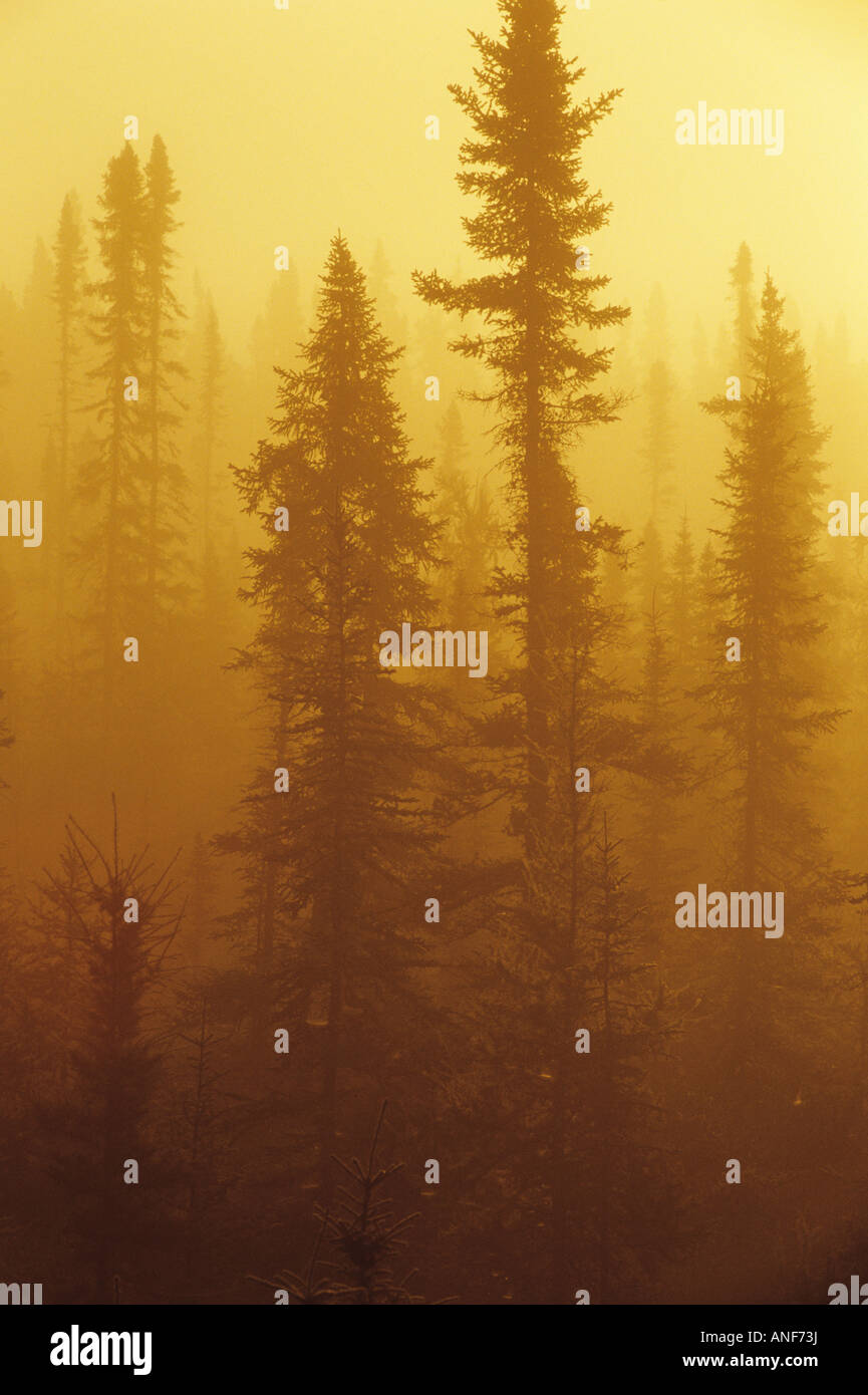 Upsala ontario hi-res stock photography and images - Alamy