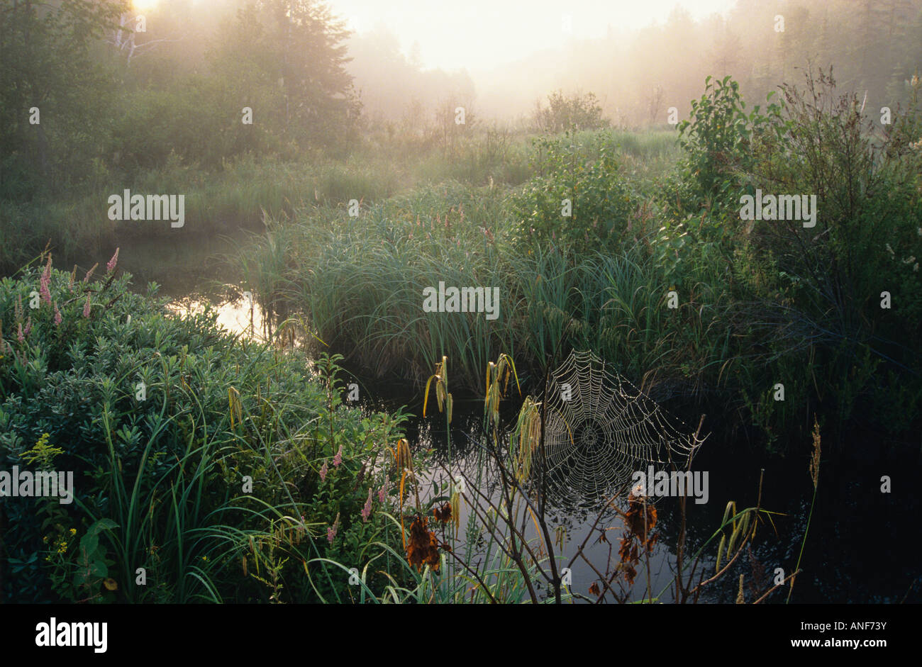 Wavy valley hi-res stock photography and images - Alamy