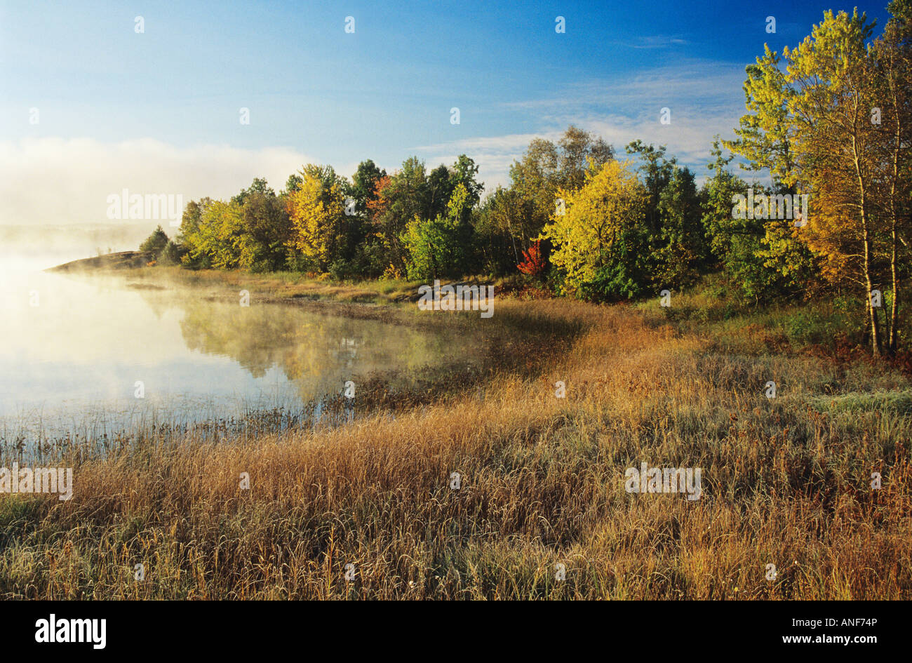 Swamp in ontario canada hi-res stock photography and images - Alamy