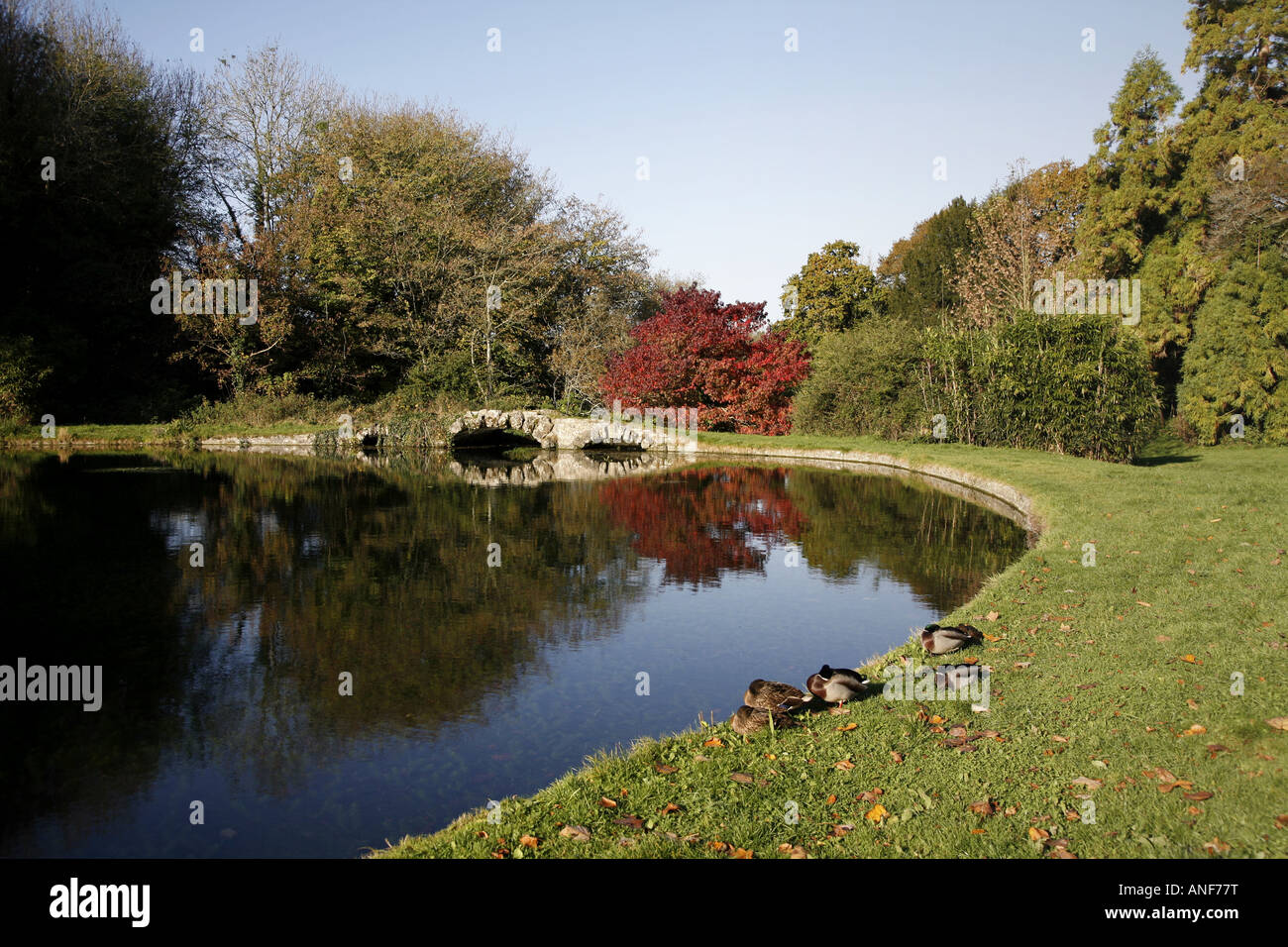 Little Bredy - An Autumn splash of colour reflects in the lake in the ...