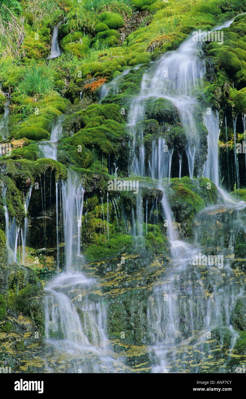 Waterfall in Forillon National Park, Gaspe Quebec, Canada Stock Photo ...