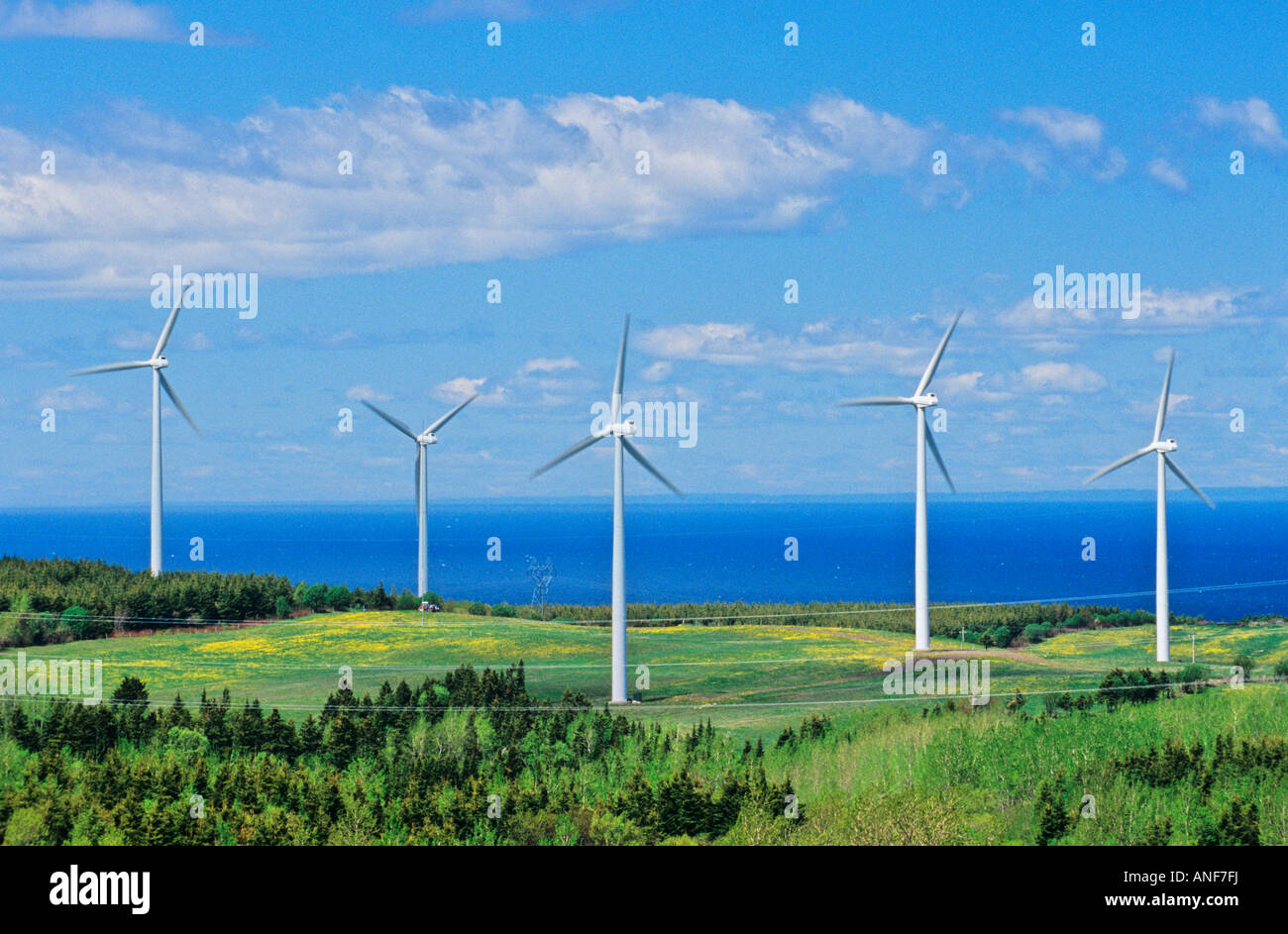 Wind Turbines on the Gulf Of Saint Lawrence, Cap-Chat, Quebec, Canada ...