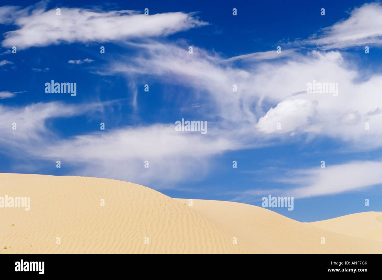 Sand dunes, Great Sand Hills, Saskatchewan, Canada Stock Photo - Alamy