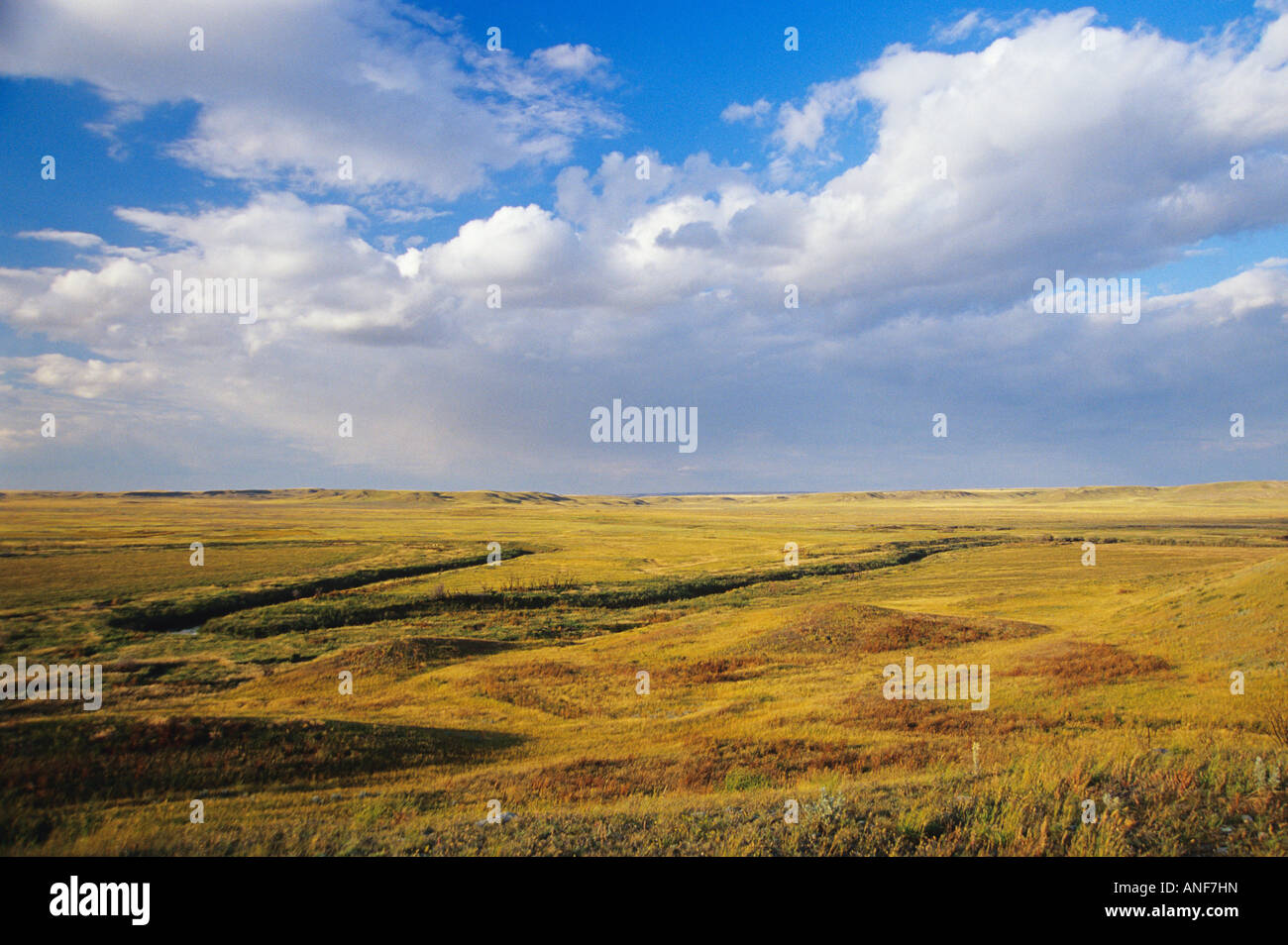 Prairie Grasslands National Park, Saskatchewan, Canada Stock Photo - Alamy