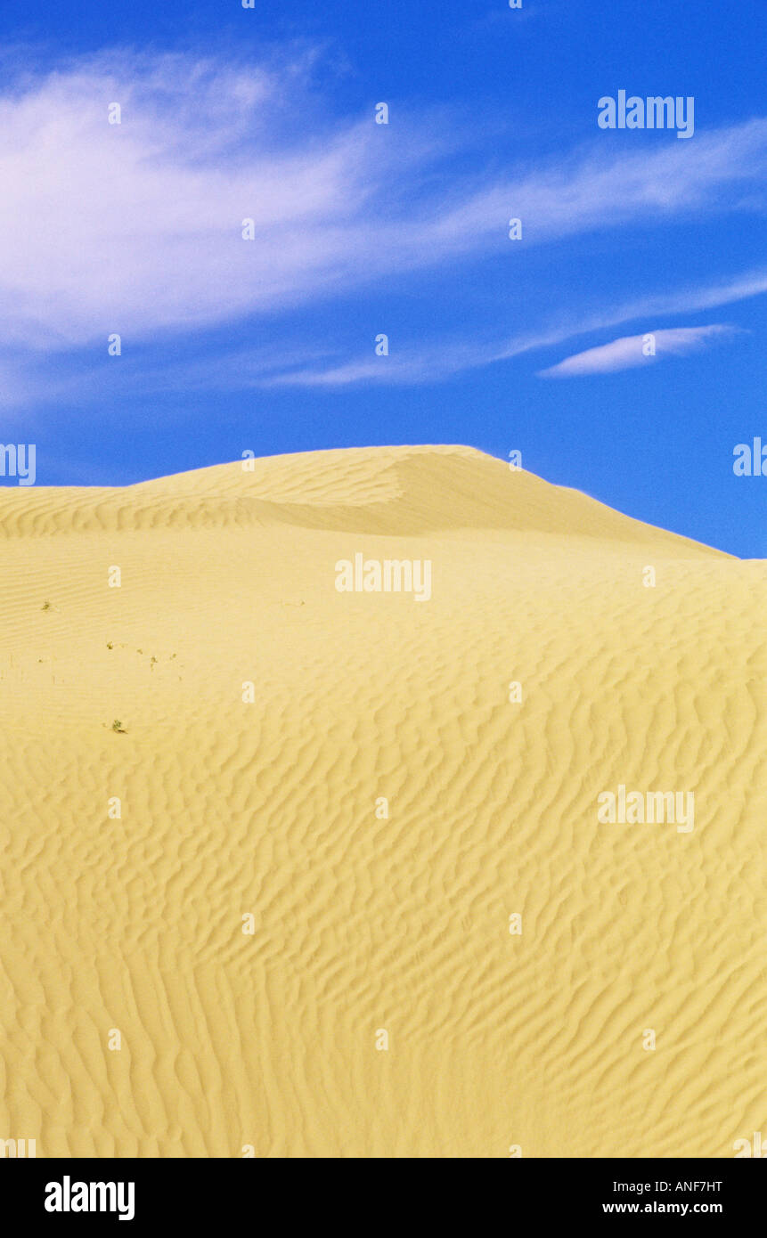 Sand dunes, Great Sand Hills, Saskatchewan, Canada Stock Photo - Alamy