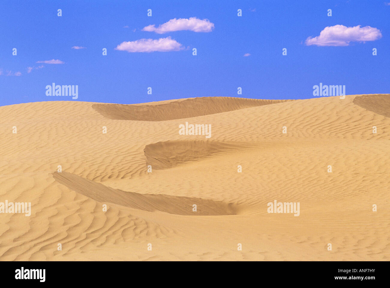 Sand dunes, Great Sand Hills, Saskatchewan, Canada Stock Photo - Alamy