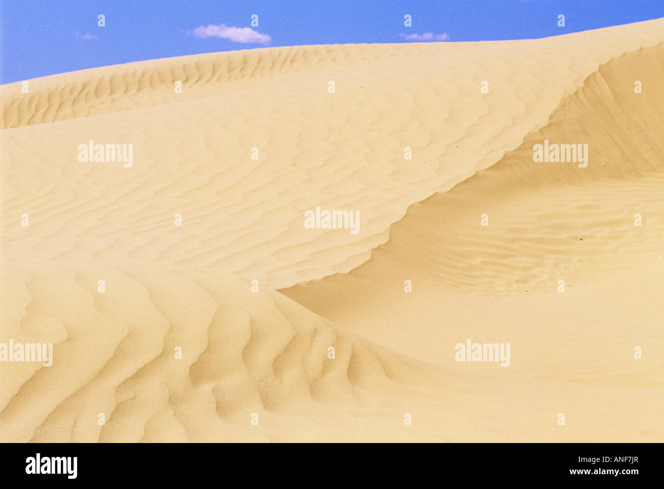Sand dunes, Great Sand Hills, Saskatchewan, Canada Stock Photo - Alamy