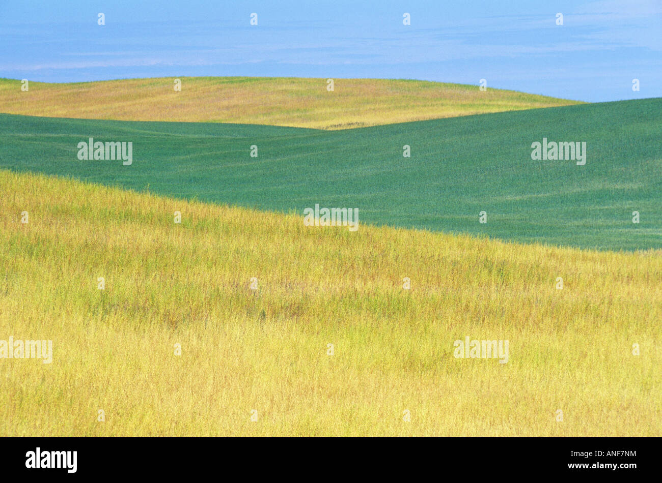 Maple creek saskatchewan hi-res stock photography and images - Alamy